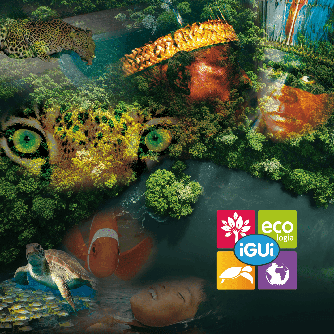 Inicio - iGUi, ¡Tu piscina!